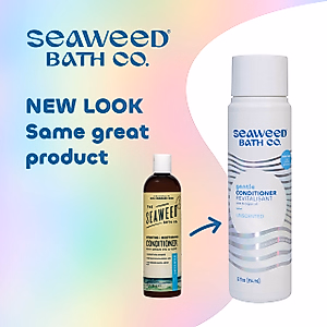Seaweed Bath Co. Gentle Conditioner, Unscented, 12 Ounce, Sustainably Harvested Seaweed, Aloe, Argan Oil, for Sensitive Scalps