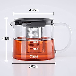 COPOTEA Glass Teapot with Removable Infuser, Tea Pot 1000ml/33OZ Stovetop Safe Tea Kettle for Blooming Tea & Loose Leaf Tea, Premium Tea Maker with Gift Box