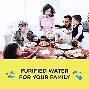 Pure Life, Purified Water, Plastic Bottled Water, Pallet of 78 Cases, Clear, 16.9 Fl Oz (Pack of 78)