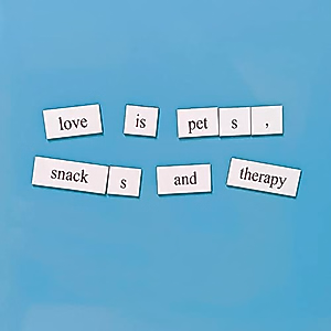 PhD Self-Care Word Magnets - Funny and Nerdy Word Kit for PhD Post-Doc and Professors - Office Refrigerator or Magnetic White Board - Made in USA