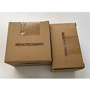 WEALTHCOMING Wall Street Bull Arts Statues,Exquisite Ceramic Fortune Bulls Figurines and Sculptures Home & Office Tabletop Decor (Unstoppable-Red)