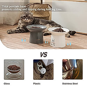 6.5 Inch Extra Wide Ceramic Raised Cat Bowls, Upgraded Elevated Porcelain Cat Food Water Bowl Dish, Stress Free Pet Feeder Bowls Dishes for Elder Big Cats & Small Dogs, White & Grey