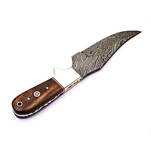 Rare Custom Damascus Full Tang Bushcraft Skinning Knife Hunting Knife | Best Quality Outdoor Knife Camping Knife | Cow Horn Handle with Free Genuine Leather Sheath (S-74)