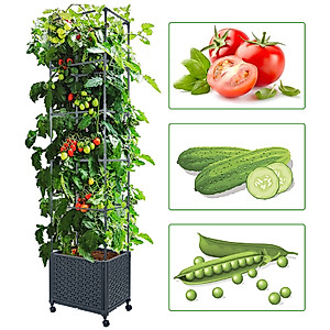 LINEX Raised Garden Bed Planter Box with Trellis, 67.6” Tomato Planters for Climbing Plants Vegetable Vine Flowers Outdoor Patio, Tomatoes Cage w/Self-watering & Wheels