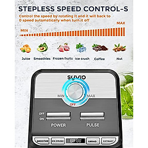 Syvio Blenders for Kitchen, Smoothie Blender 1450W with 4 Presets and 68 oz Tritan Container, Blender for Shakes and Smoothies, Crushing Ice, Frozen Fruits