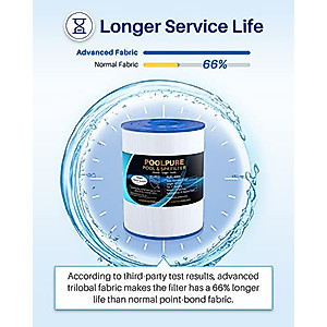 POOLPURE C-8465 Spa Filter Replaces Watkins 31114, Pleatco PWK65, Filbur FC-3960, 71827, 71828, Watkins 65 sq.ft Tiger River Spa Filter 1 Pack