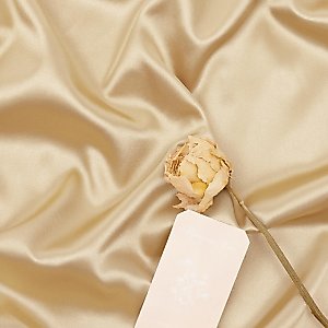 MLMW Christmas Champagne Satin Fabric 3 Yards 60" Wide Silky Charmeuse Satin Fabric by The Yard Continuous Fabric for Halloween Wedding Dress, Thanksgiving Party Decorations, Sewing, Backdrop