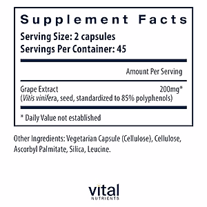 Vital Nutrients - Grape Seed Extract - Potent Antioxidant and Support for Vein Health - 90 Vegetarian Capsules per Bottle - 100 mg