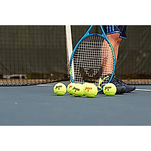 Penn Championship Tennis Balls - Regular Duty Felt Pressurized Tennis Balls - 24 Cans, 72 Balls, Yellow
