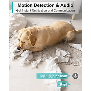 WUUK 4MP Indoor Security Camera, WiFi Camera Indoor Baby Monitor, Pet Camera w/Motion & Human Detection, Night Vision, 24/7 Live View 2-Way Audio, Magnetic Stand, Works w/Alexa & Google Home