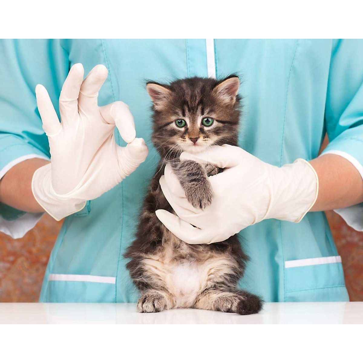 I LOVE MY PETS LLC cat probiotic for Constipation - CAT Digestive AID - Healthy PROBIOTICS - Chews - Digestive enzymes Cats - 60 Treats (1 Bottle)