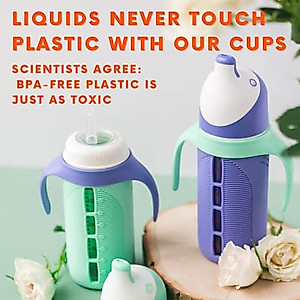 Tabor Place Glass Sippy Cup for Toddlers - The Luca | Spill-proof | Silicone Straw | Mint Green | 8 oz | Liquids Never Touch Plastic | Removable Handles