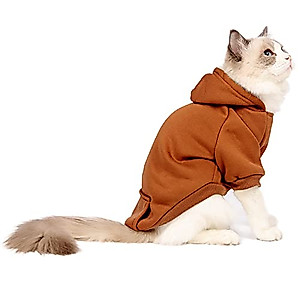 Pet Clothes for Cats Girl Dog Outfit Soft Cat Sweater Dog Sweatshirt for Small Dog Puppy Cat (X-Small, Orange)