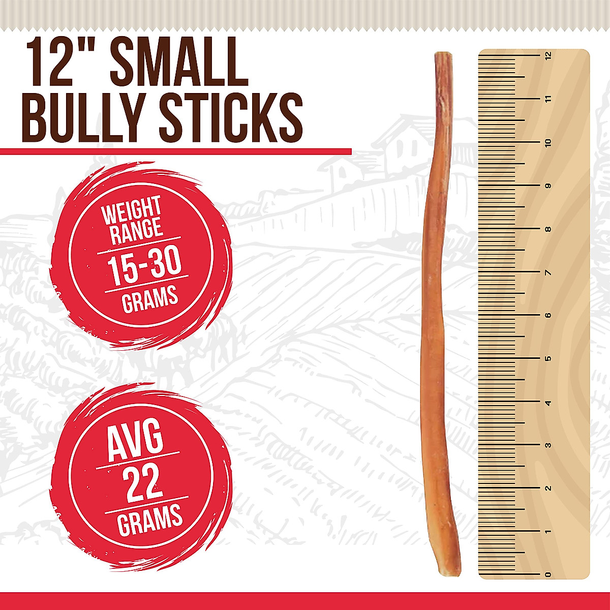 Best Dog Chews Thin Bully Sticks for Dogs 100% Natural Delicious and Protein Rich Keep Your Dog Busy with Chews & Treats Fully Digestible-Great for Dental Health-for All Breed Sizes-12 inch(12 Count)