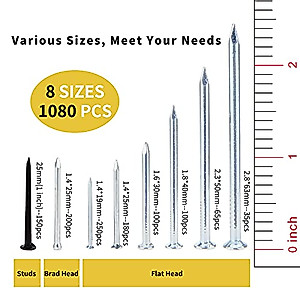 Maexxna 1080pcs Nail Assortment Kit, Small Nails, Nails, Nails for Hanging Pictures, Picture Hanging Nails, Finishing Nails, Hanging Nails, Picture Nails, Wall Nails for Hanging, Pin Nails