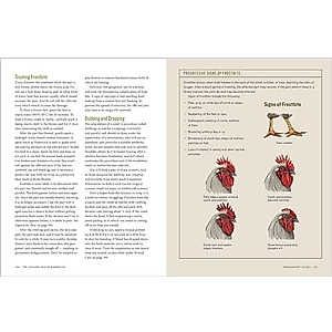 The Chicken Health Handbook, 2nd Edition: A Complete Guide to Maximizing Flock Health and Dealing with Disease