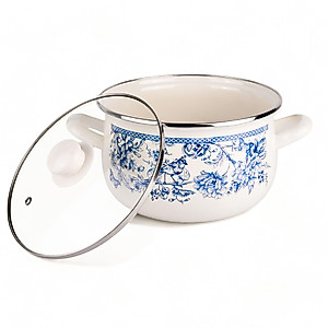 Bird of Paradise Belly Deep Stock Pot with Glass Lid, Cooking Pot with Lid and Handles, Multipurpose Pot Use for Home Kitchen, Cookware for Braising, Boiling (6.55-qt. (6.2 L))