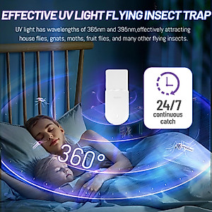 Flying Insect Trap - Indoor Fly Trap,4 PCS Highly Effective UV Blueish-Purple Light,Flying Insect Trap with Sticky Pads,for Flies, Fruit Flies, Moths, Gnats, and Other Flying Insects (4 pcs)