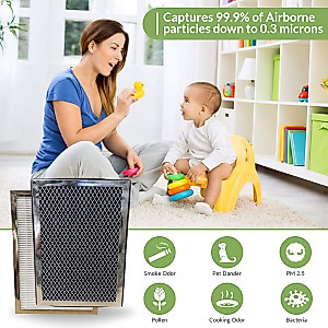 Homeland Goods 25 Replacement Filters Compatible with 25 B1/S1/W1 Air Purifier, 3-in-1 True Hepa and Activated Carbon Filter 4 Pack