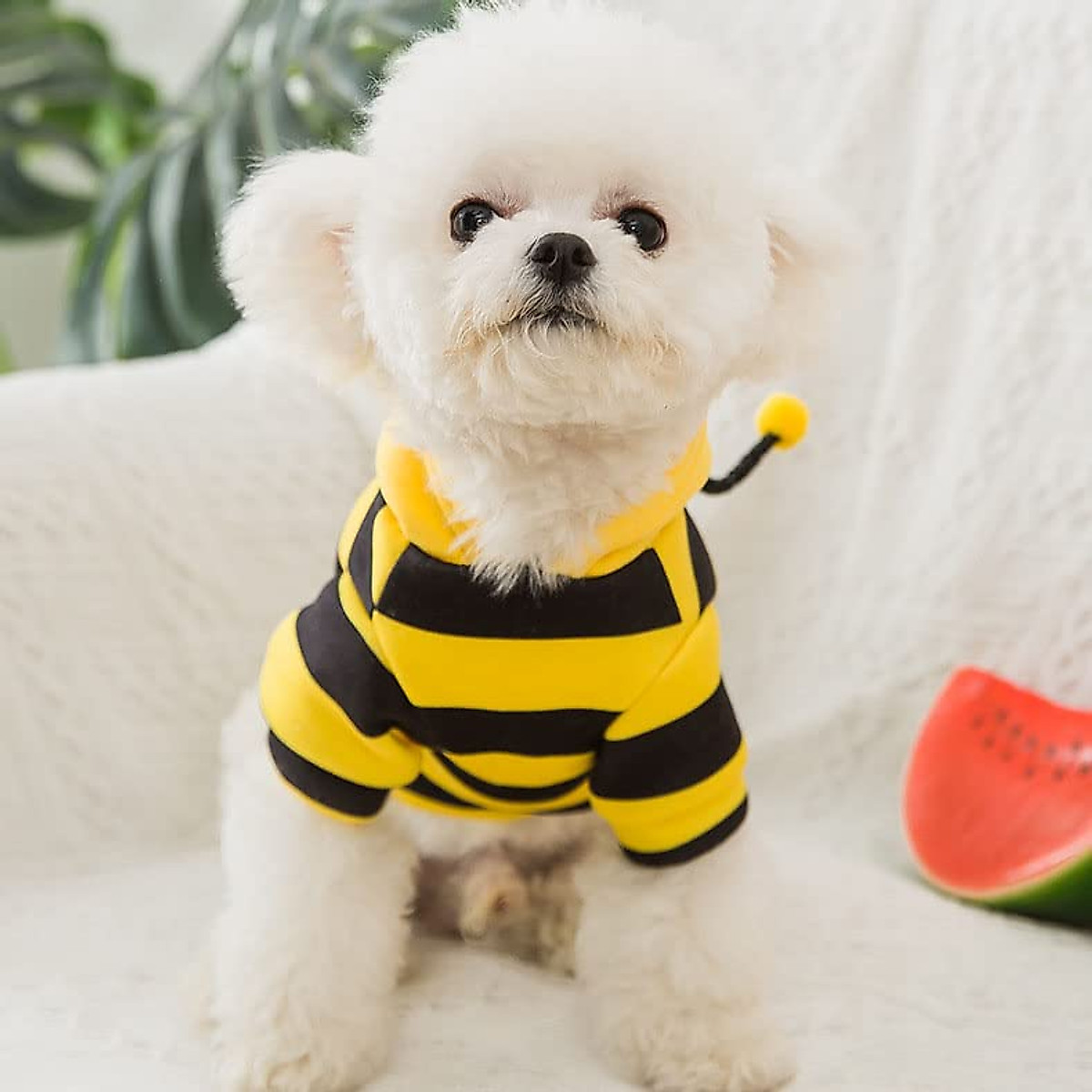 Pet Funny Hoodie Ugly Christmas Sweater Cold Weather Warm Coat for Puppy Small Dog Halloween Party Costume Cute Hoodie (X-Small, Yellow Bee)