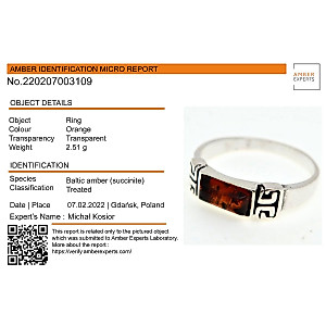 HolidayGiftShops Sterling Silver and Baltic Honey Amber Ring Petra