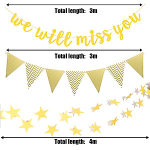 Gold Glitter Graduation Banner We Will Miss You and Triangle Flag Banner Star Swirl Banner for Farewell Party Decorations Supplies Retirement Going Away Office Work Job Change Party Decorations (Gold)
