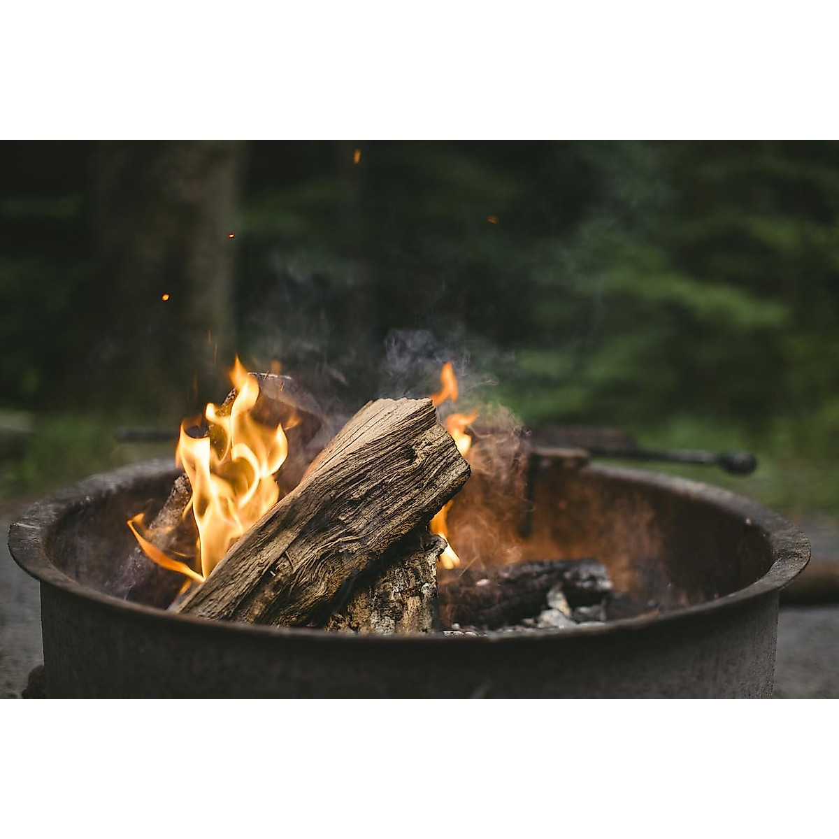 Wilson Maple Split Firewood - Seasoned Natural Kiln Dried Fireplace, Fire Pit, Bonfire Logs (Regular)