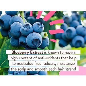 Babo Botanicals Smoothing Berry 2-in-1 Shampoo & Wash - Detangling & Nourishing - Eliminates Frizz & Prevents Static - Evening Primrose Oil - For all ages - Light Berry Fragrance- Vegan