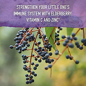Garden of Life Elderberry Immune Support for Kids with Zinc, Vitamin C - mykind Organics Kids Elderberry & Sleep Immune Syrup Liquid, Bedtime Herbs for Children, No Alcohol, No Added Sugar, 3.92 fl oz