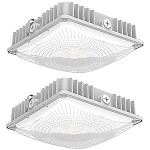 SEMSMOKS LED Canopy Lights Outdoor, Super Bright 75W 9750LM Garage Ceiling Lights, Easy to Install, IP65 Waterproof, 5000K Daylight Canopy Lights 10x10 for Gas Stations Carports and Stairwell (2Pack)
