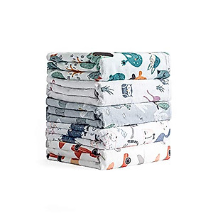 Hofasiii Unisex Boy Girl Lightweight Comfortable Super Soft Plush Minky Baby Blanket in 30’’x40’’ ,Newborn Receiving Baby Cat Blankets with Dotted Backing