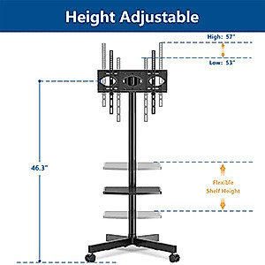 Rfiver Universal Mobile TV Cart for 23-60 inch Flat Screen TVs up to 88lbs, Portable Rolling TV Stand with Mount and Locking Wheels, Black Floor/Outdoor TV Stand with Shelf, Max VESA 400x400mm