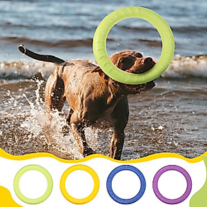 Liliful 4 Pcs Outdoor Dog Toy Dog Ring Toy Dog Flying Discs Dog Chew Toy Dog Playground Equipment for Small Medium Large Dog Training Fetching Throwing Catching Interactive Play, 4 Colors