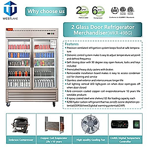 WESTLAKE 54" W Commercial Display Refrigerator 2 Glass Door Merchandiser 2 Section Stainless Steel Reach-in Glass Door Upright Fan Cooling 49 Cu.ft Cooler for Restaurant, Bar, Shop, etc