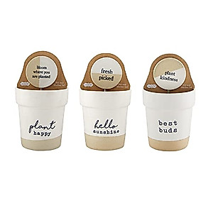 Mud Pie Pot Marker Set, Hello Sunshine, 4.5" H x top Dia 4" x Bottom Dia 3"