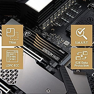 MSI SPATIUM M480 PCIe 4.0 NVMe M.2 1TB Internal SSD PCIe Gen4 NVMe 1.4 3D NAND 1400 TBW (SPATIUM M480 PCIe 4.0 NVMe M.2 1TB)