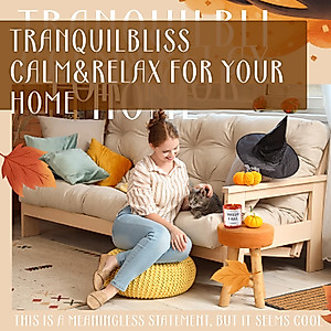 Conelist 2 Pcs Fall Candles 9 oz Hello Fall Candle Fall Scented Candles Autumn Scented Soy Candles Gifts Fall Decorations for Women Home Fall Decor