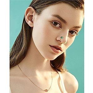 16 Pcs Multi-Style Fake Septum Fake Nose Ring Hoop- African Nose Cuff Non Piercing Nose Cuffs for Non Pierced Nose - Fake Nose Rings Hoops- Fake Nose Ring Stud - Clip on Nose Ring for Fake Piercing