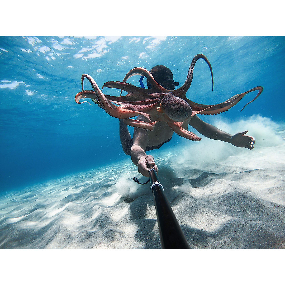 GoPro HERO9 Black - Waterproof Action Camera with Front LCD and Touch Rear Screens, 5K Ultra HD Video, 20MP Photos, 1080p Live Streaming, Webcam, Stabilization (Renewed)