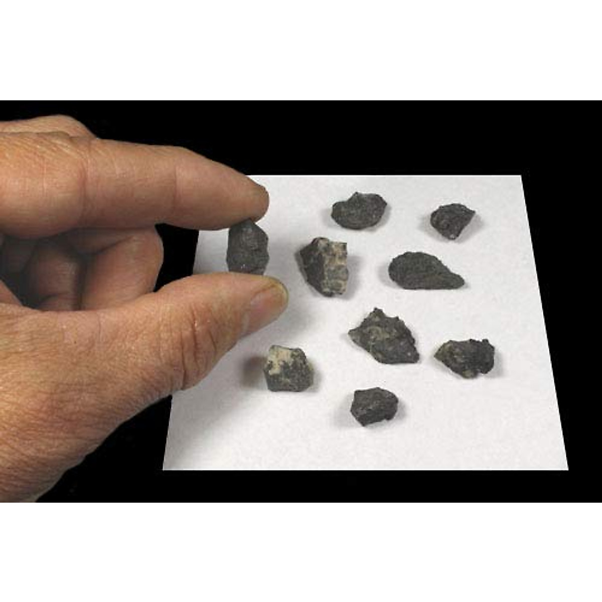 United Nuclear Cloud Chamber Source