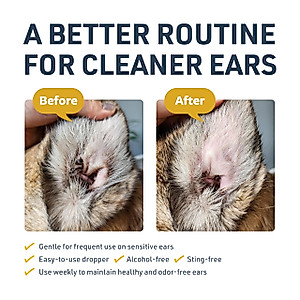 Veterinary Formula Clinical Care Ear Therapy Wipes, 100ct – Cat and Dog Ear Cleaner – Help Relieve Itchy Ears Quickly & Effectively Remove Dirt, Debris, and Foul Odor