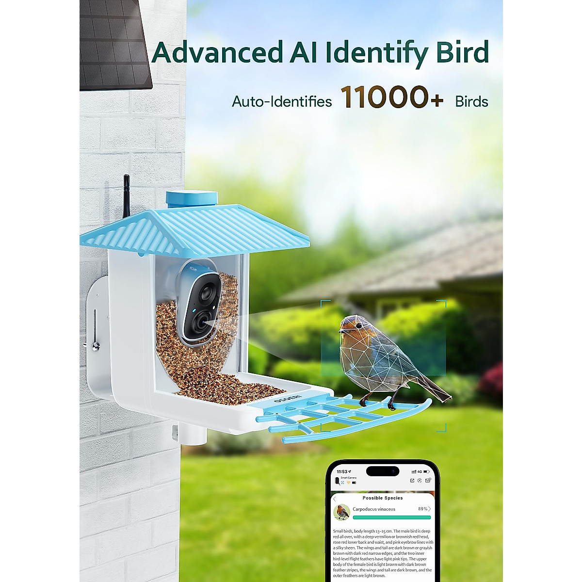 Osoeri Smart Bird Feeder with Camera, 1080P HD AI Identify Wild Bird Watching Camera, Auto Capture Bird Videos Motion Detection, DIY Addons Hummingbird Feeder, Bird Feeder Camera Gift for Bird Lover