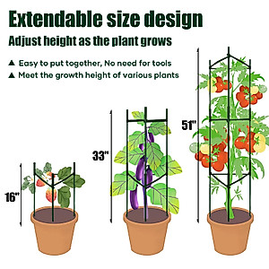 LOMNYIY Tomato Cage - Premium Tomatoes Plant Stakes Support Cages Trellis for Garden and Pots ，Multi-Functional Climbing VegetablesCages Trellis(51 inches，3 Pack) (Tomato Cage 3 Pack)