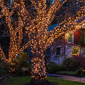 Christmas Lights 100 Count Mini Clear Lights 21ft White Wire Christmas Tree String Lights Set for Outdoor Indoor Christmas Decorations Wedding Decorations Valentines Day Decor,UL Certified (21feet)