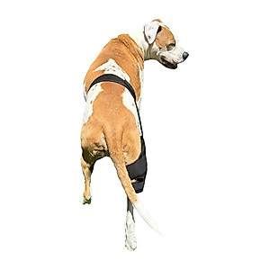 Labra Dog Canine K9 Hot Cold Ice Heat Therapy Knee Wrap for ACL MCL CCL Patella Injuries Sprain Strain Arthritis Senior Dog