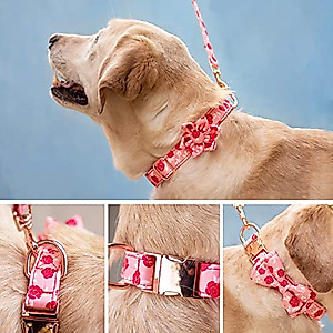 Hilkycton Dog Collar and Leash Set with Flower Bow Tie Girls Dog Collar Dog Tag Metal Buckle Adjustable for Small Medium Large Dogs Pink Roses-S