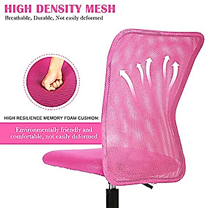FLL Armless Task Office Chair Ergonomic Computer Desk No Arms Swivel Rolling Chair,Mid Back Executive with Lumbar Support Height Adjustable for Adults(Pink), 20.2 x 16.5 x 40.1 inches