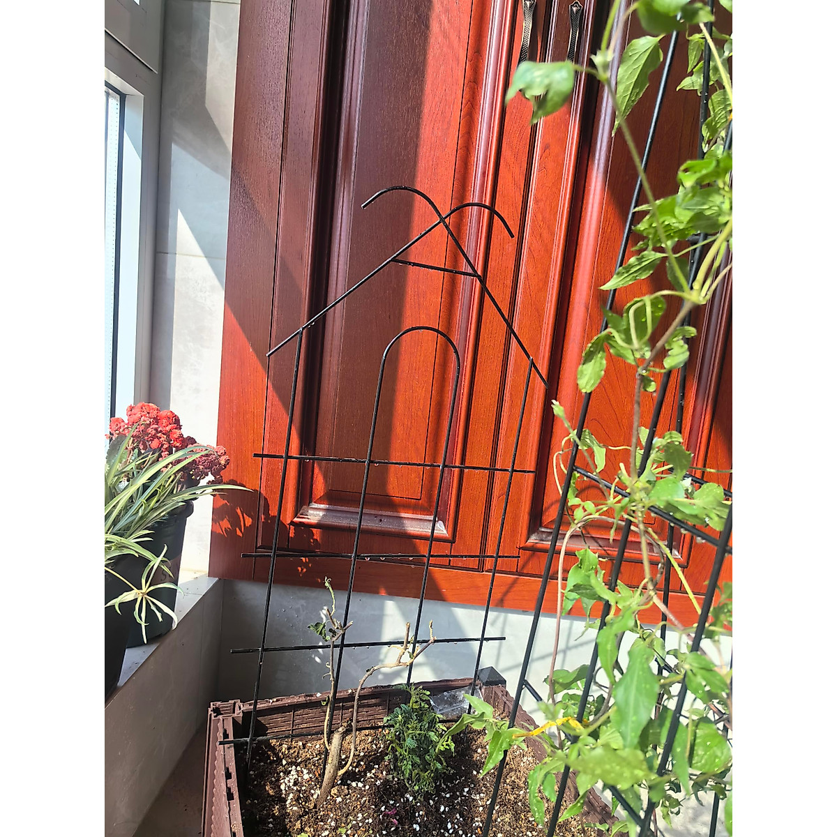 ARIFARO 24'' Metal Garden Trellis for Climbing Plants, Indoor/Outdoor Sturdy Plant Trellis for Potted Plants,House Plants, Climbing Vines, Pack of 4, Black