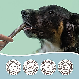 Natural Dog Company Premium Dog Dental Chews, Natural Dental Sticks to Clean Teeth and Freshen Breath, Helps Control Plaque and Tartar Treats for All Breeds and Sizes, Made in USA, 18 Count