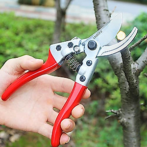 Garden clippers, Pruners for Gardening, pruning shears, gardening tools, for trimming rose, floral, tree, plants, sharp garden scissors, arthritis weak hand snips.